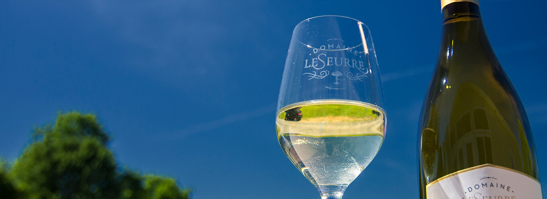 Domaine LeSeurre - Explore Steuben