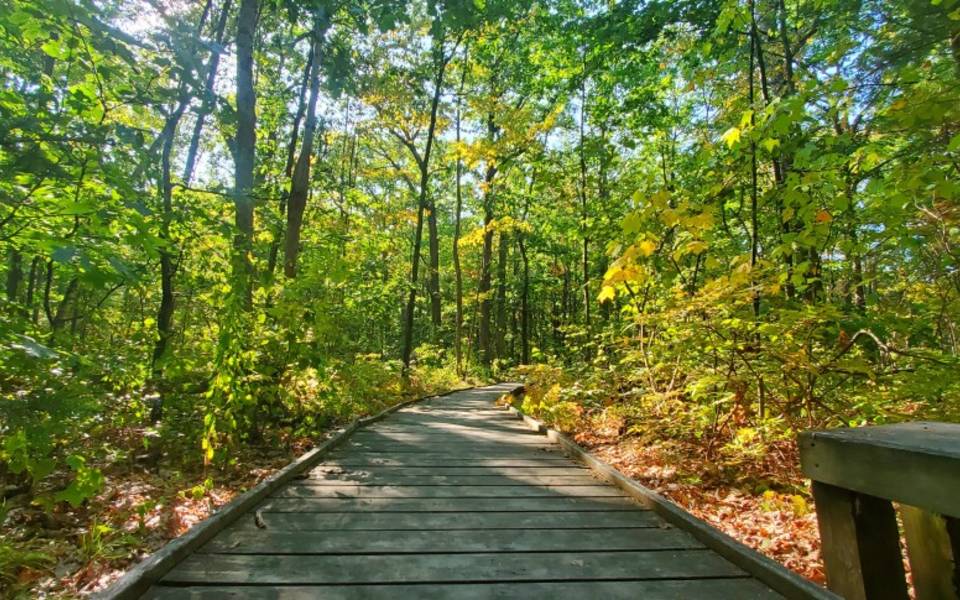 Spencer Crest Nature Center - Explore Steuben
