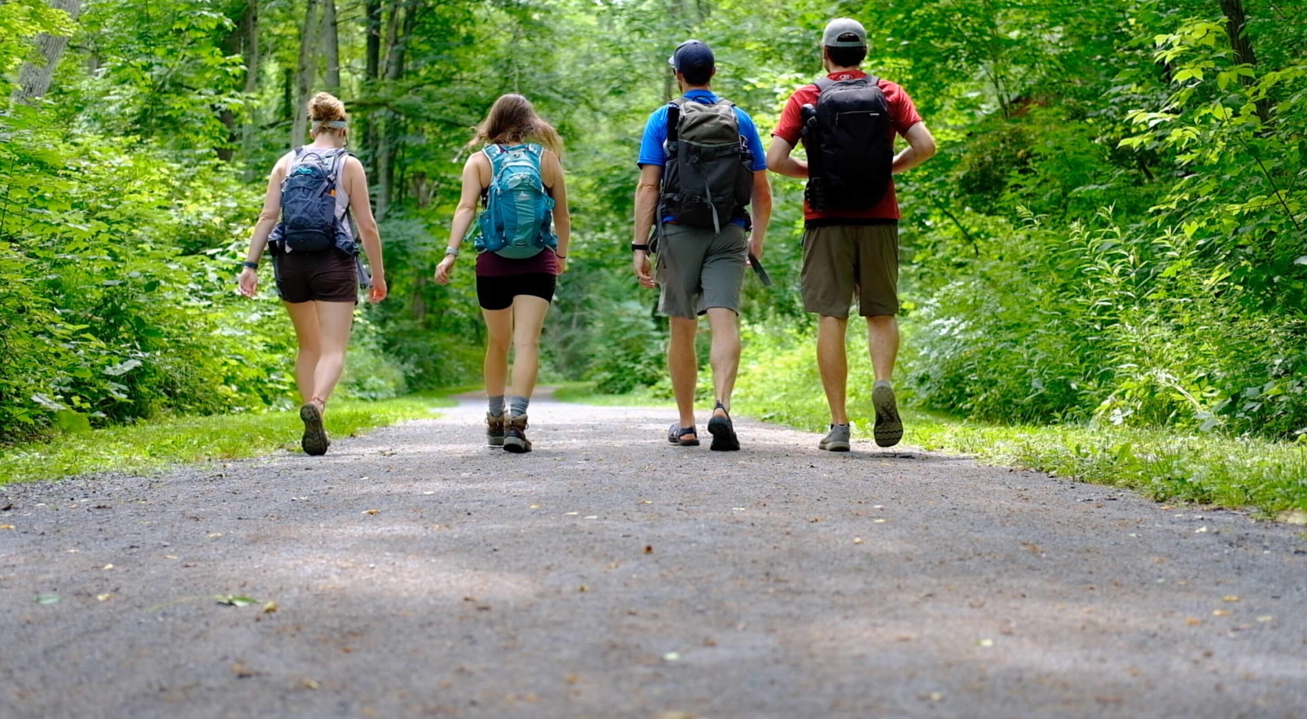 7 Best Spring Hikes - Explore Steuben