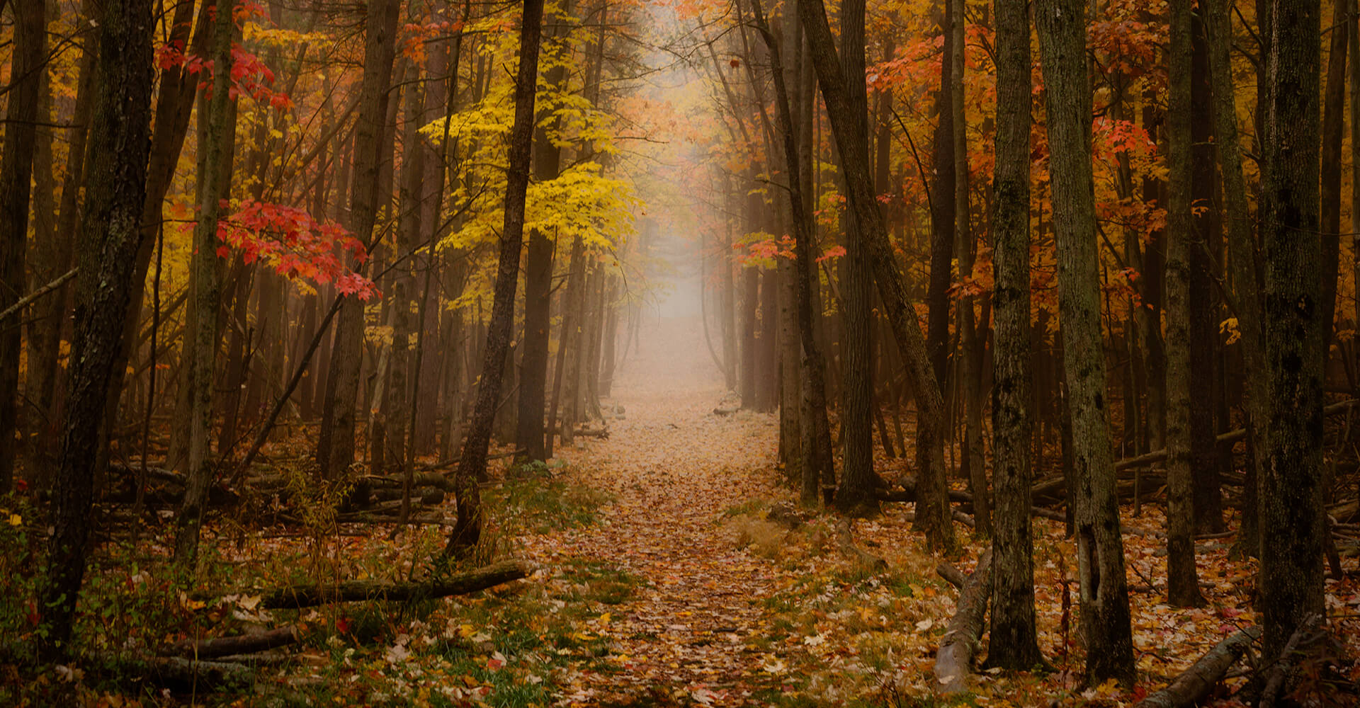 10 Best Fall Hikes - Explore Steuben