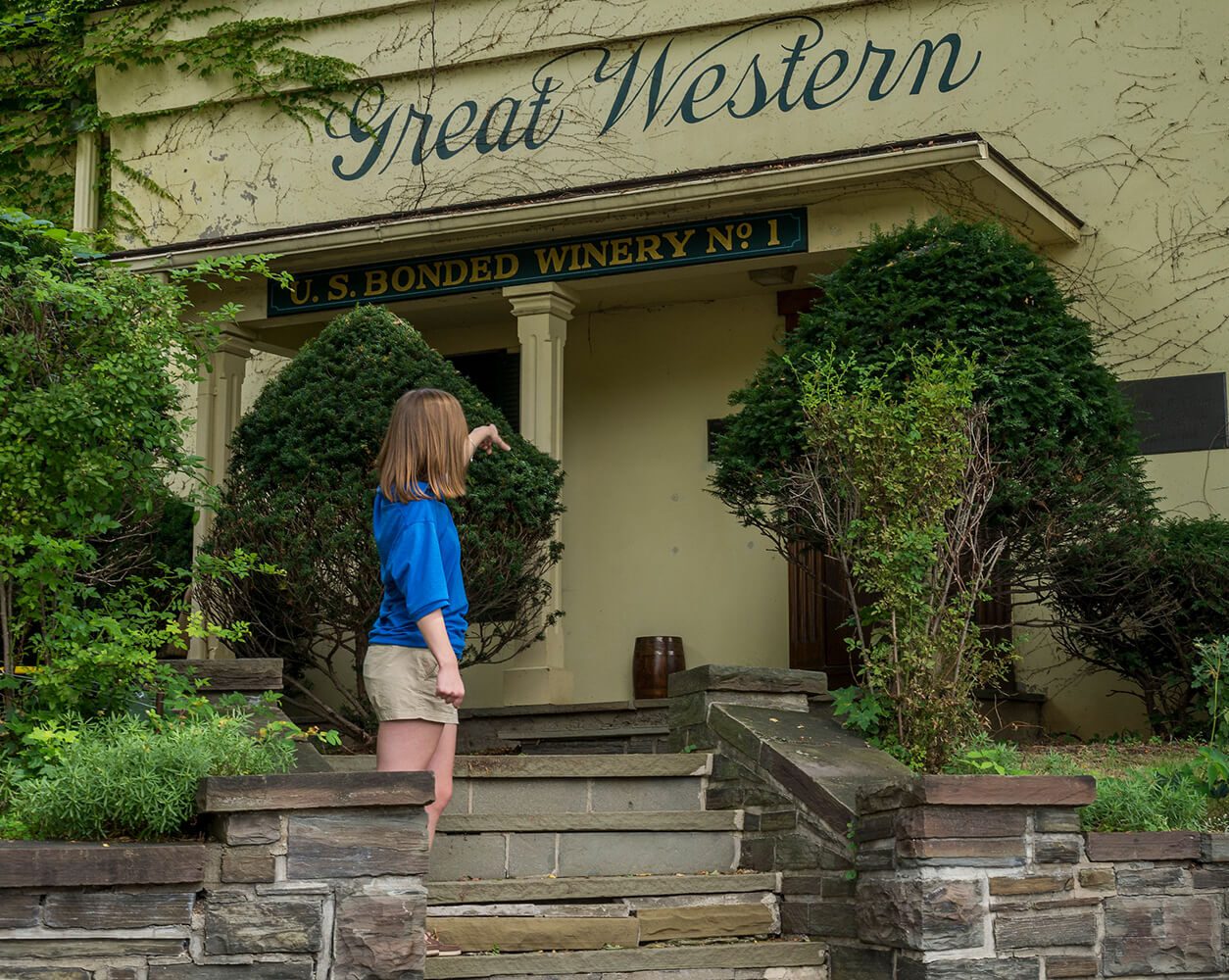 The Roots of a World Class Wine Region - Explore Steuben