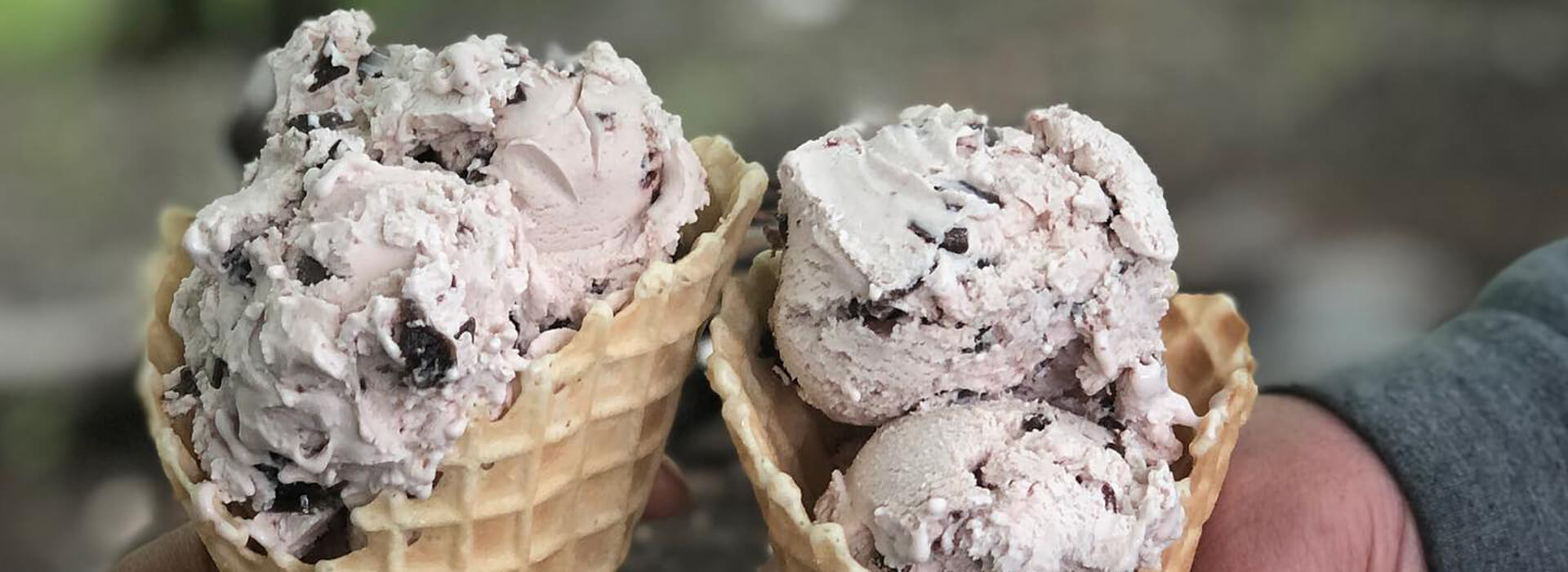 One Sweet Trip - Explore Steuben