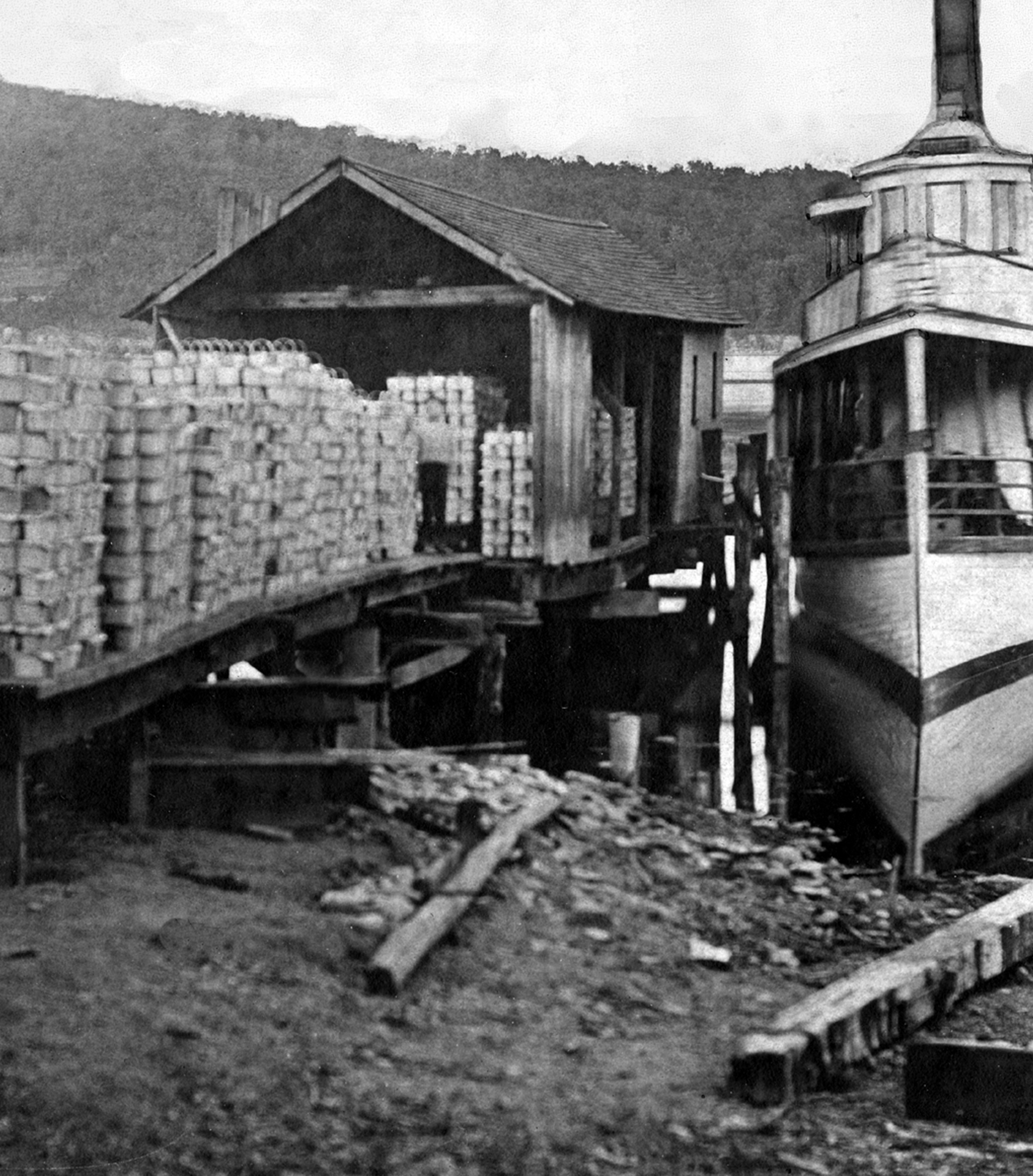 Finger Lakes Wine: Unsung Pioneers - Explore Steuben